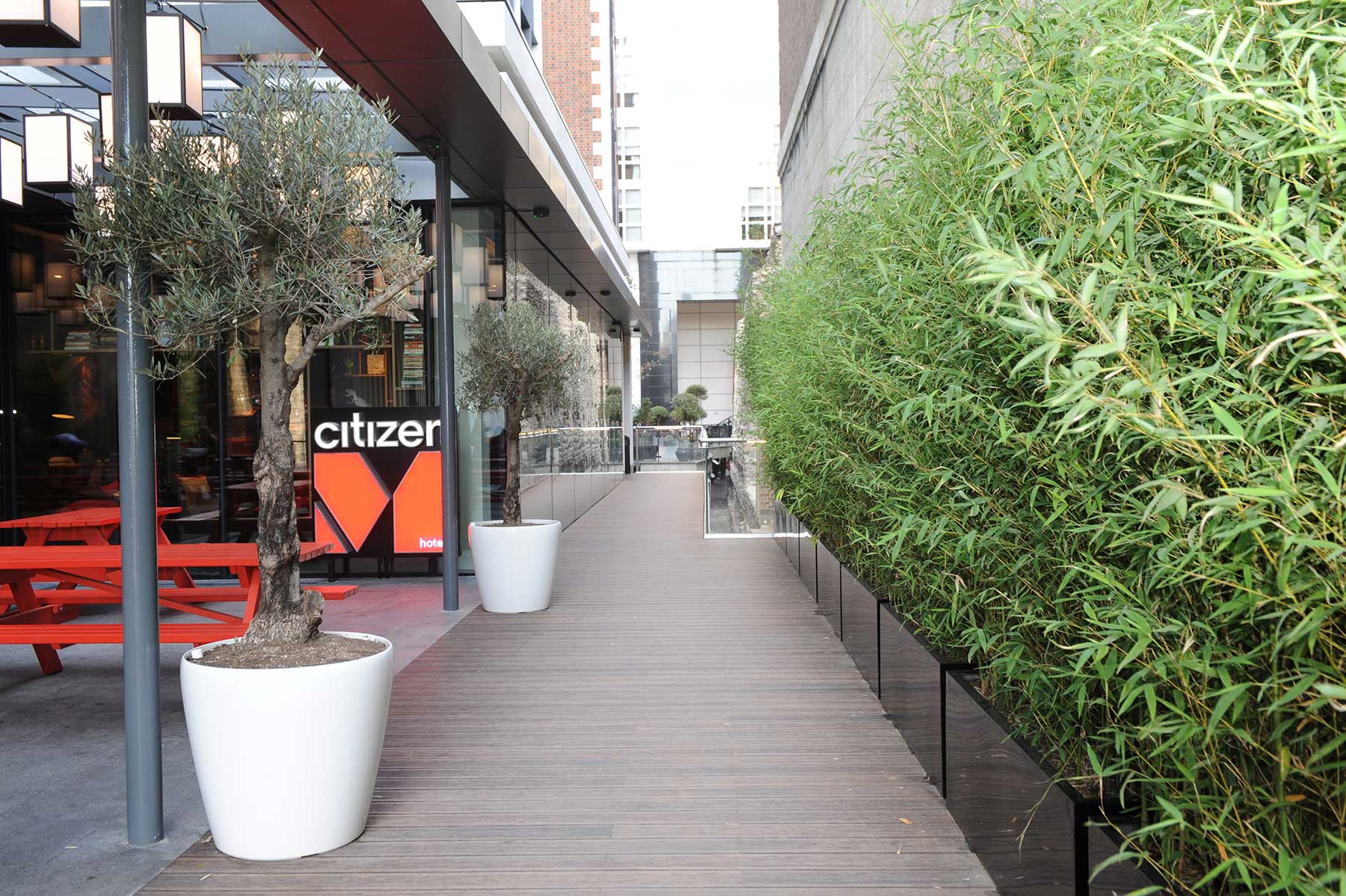 Elevating Hotel's Ambiance With Aztec Living Plants Hire Service ...